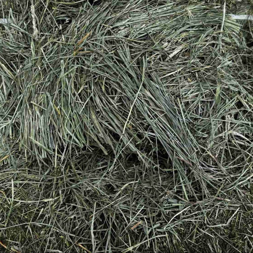 Alaska Hay & Feed Supply