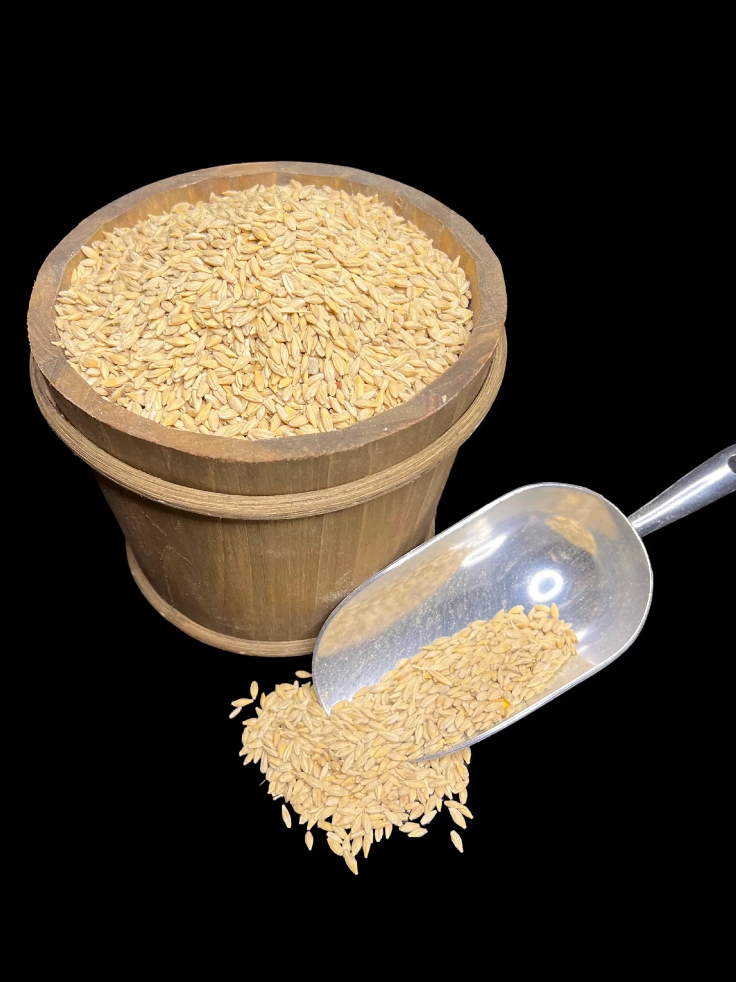 Whole Barley – Alaska Hay & Feed Supply