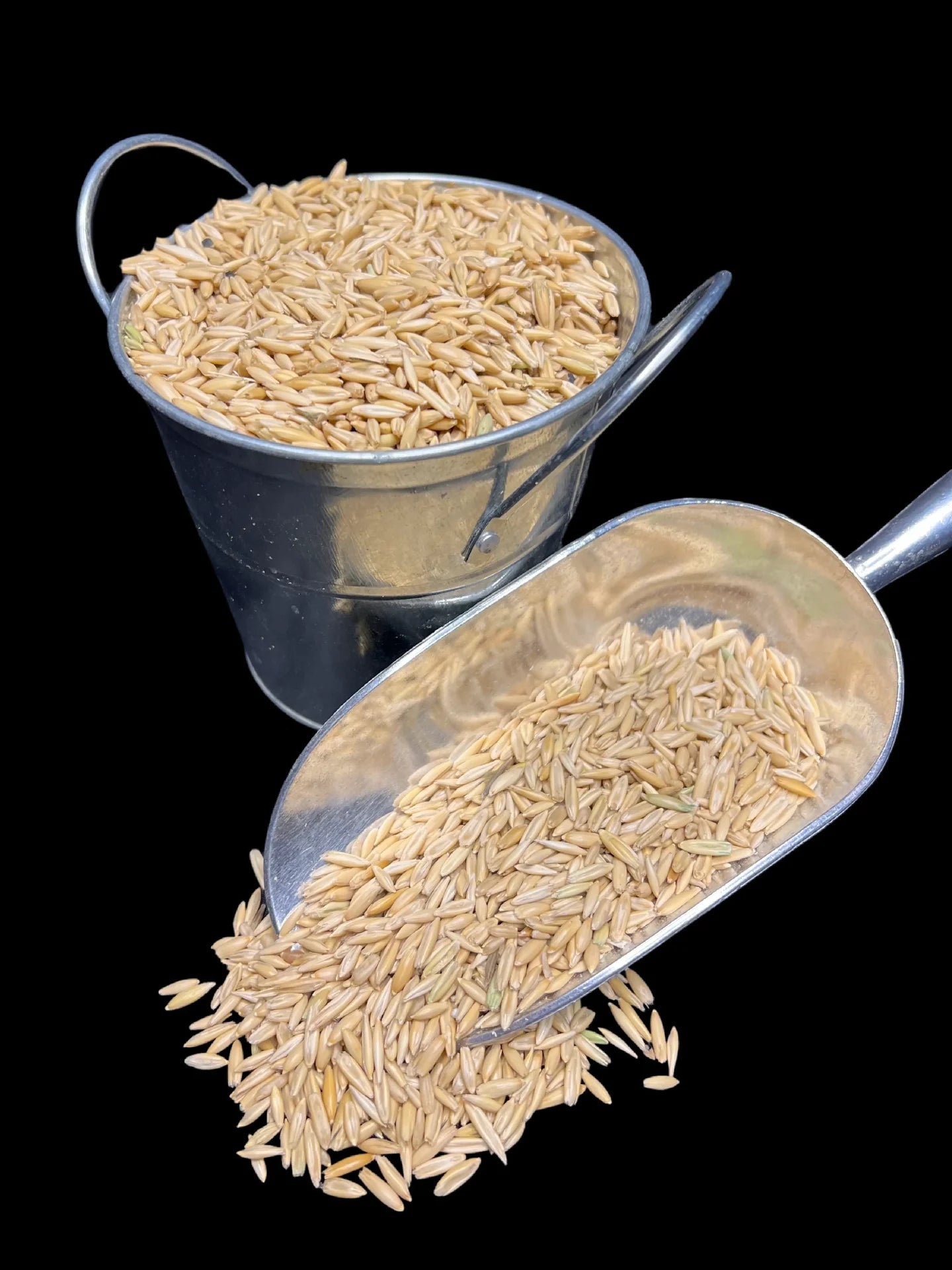 Whole Oats – Alaska Hay & Feed Supply